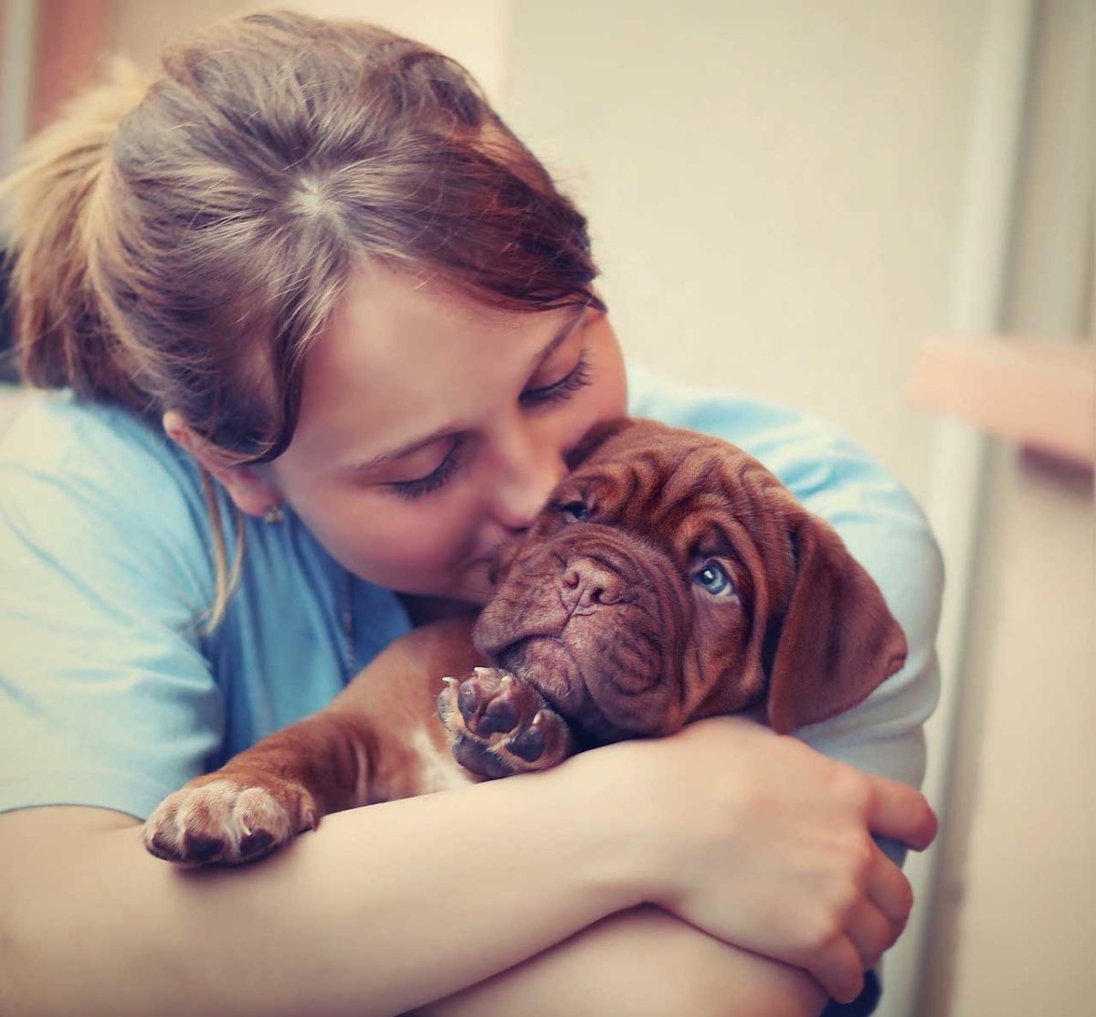 Making Your Pet the Number 1 Priority | Mindahome